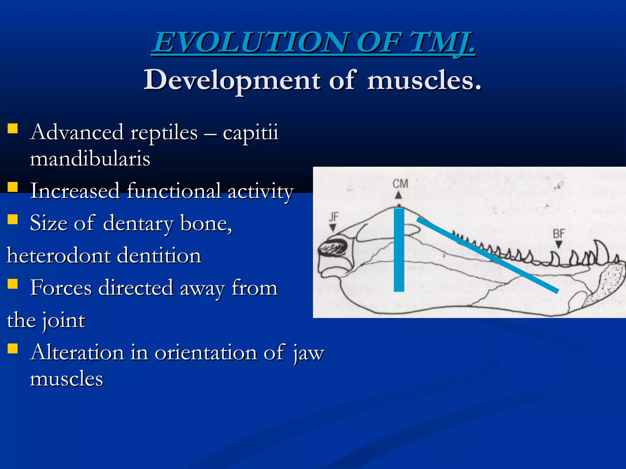 temporomandibular joint-development and anatomy | PPT