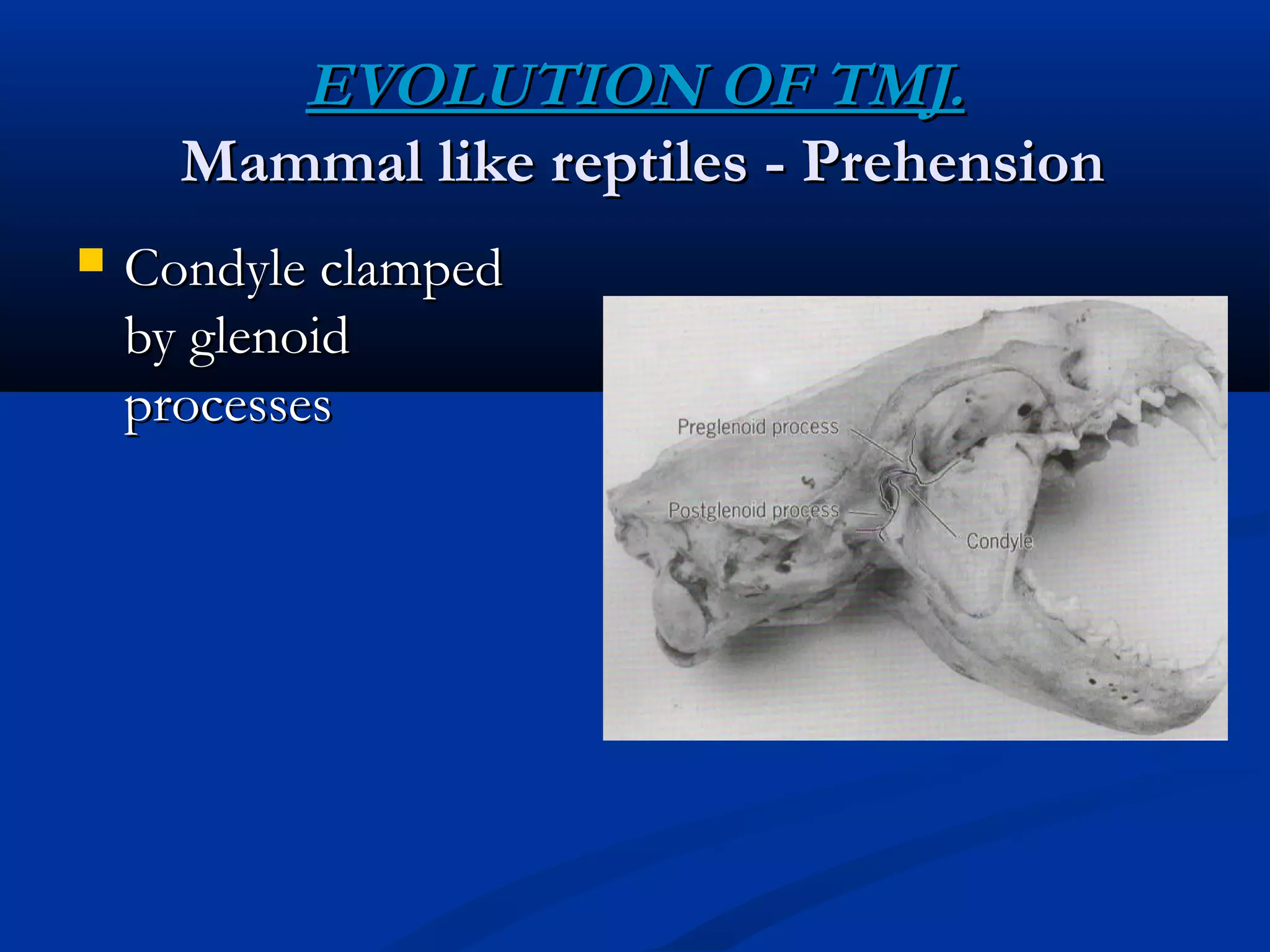 temporomandibular joint-development and anatomy | PPT