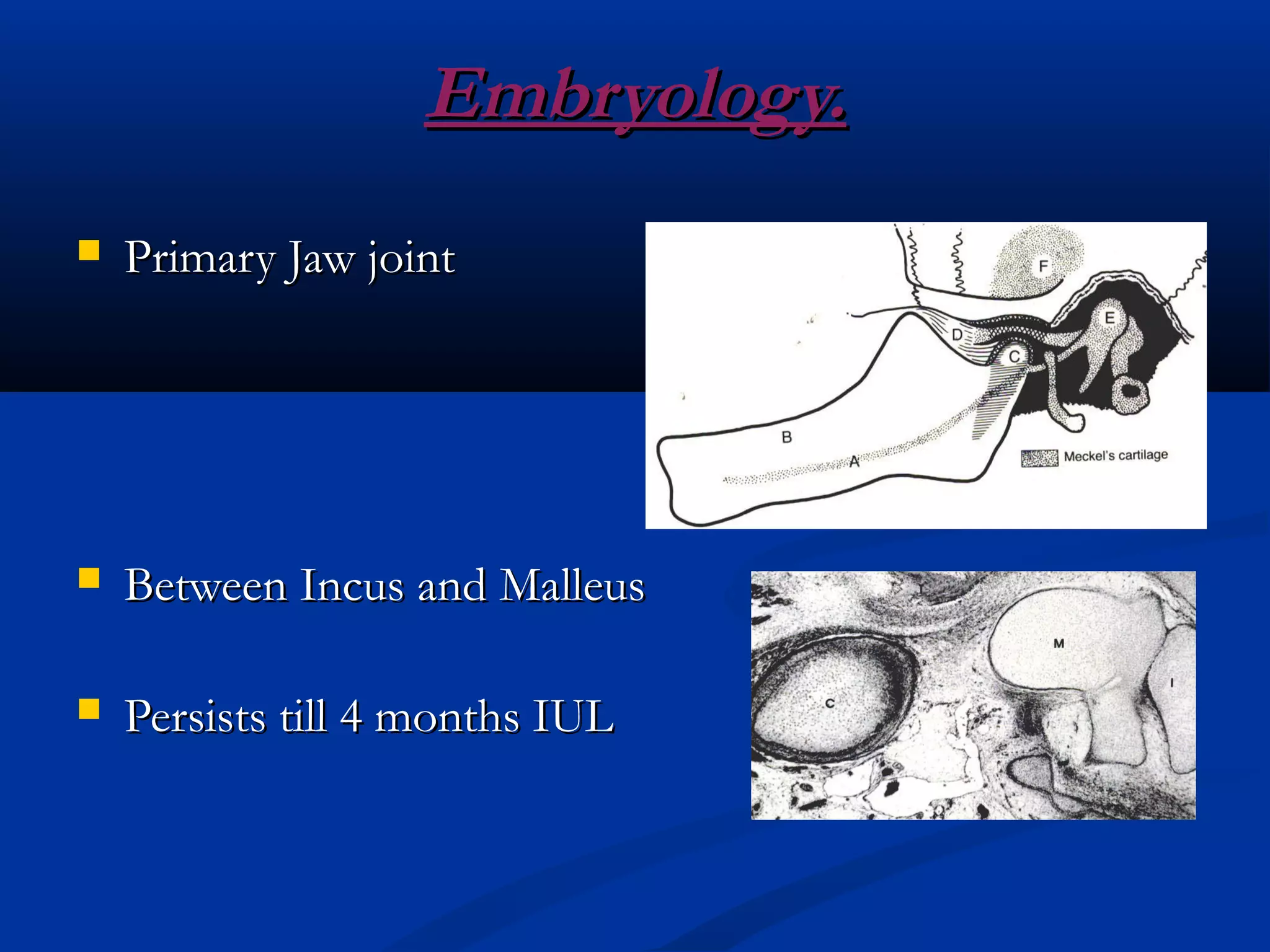 temporomandibular joint-development and anatomy | PPT