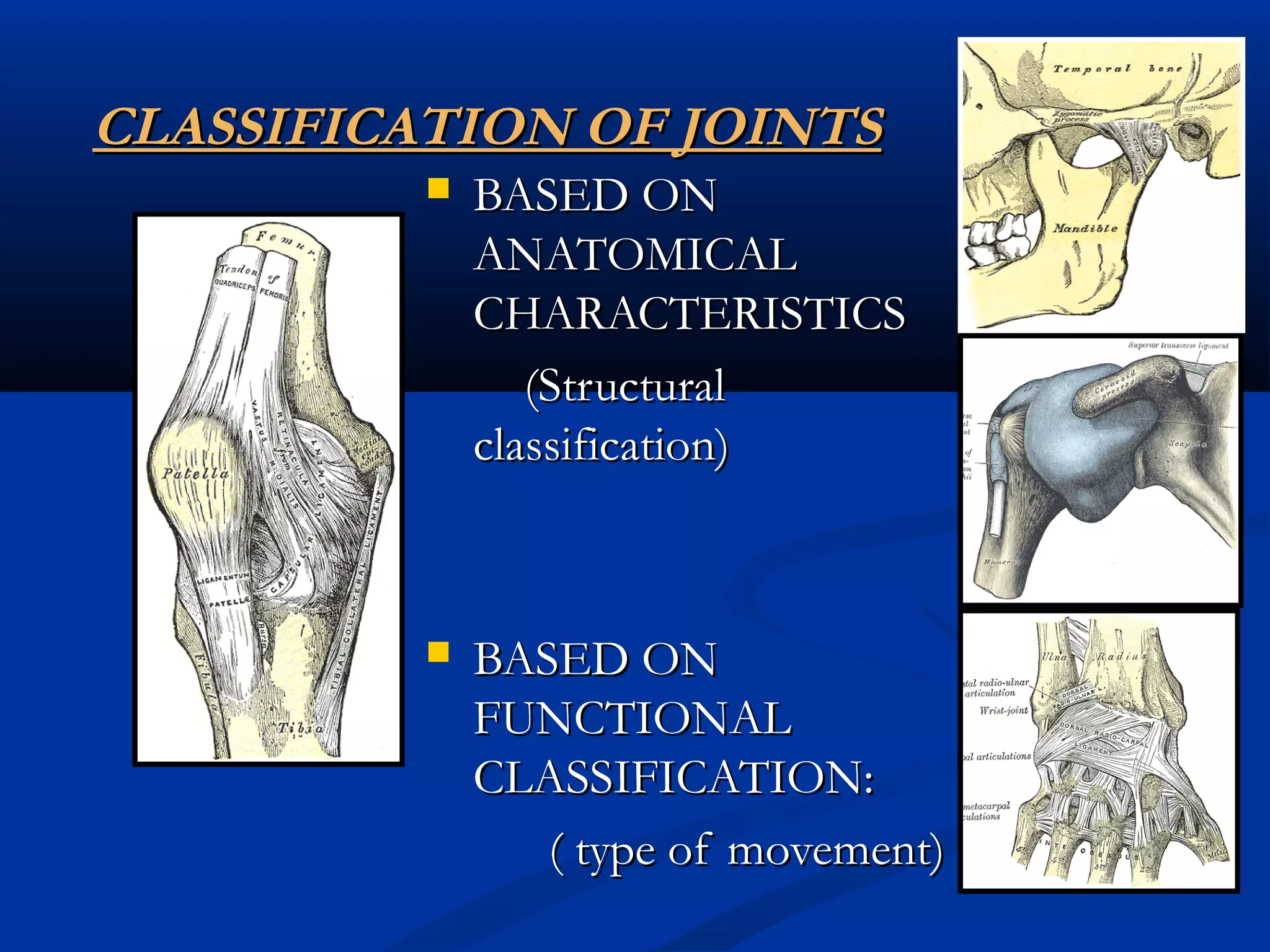 temporomandibular joint-development and anatomy | PPT