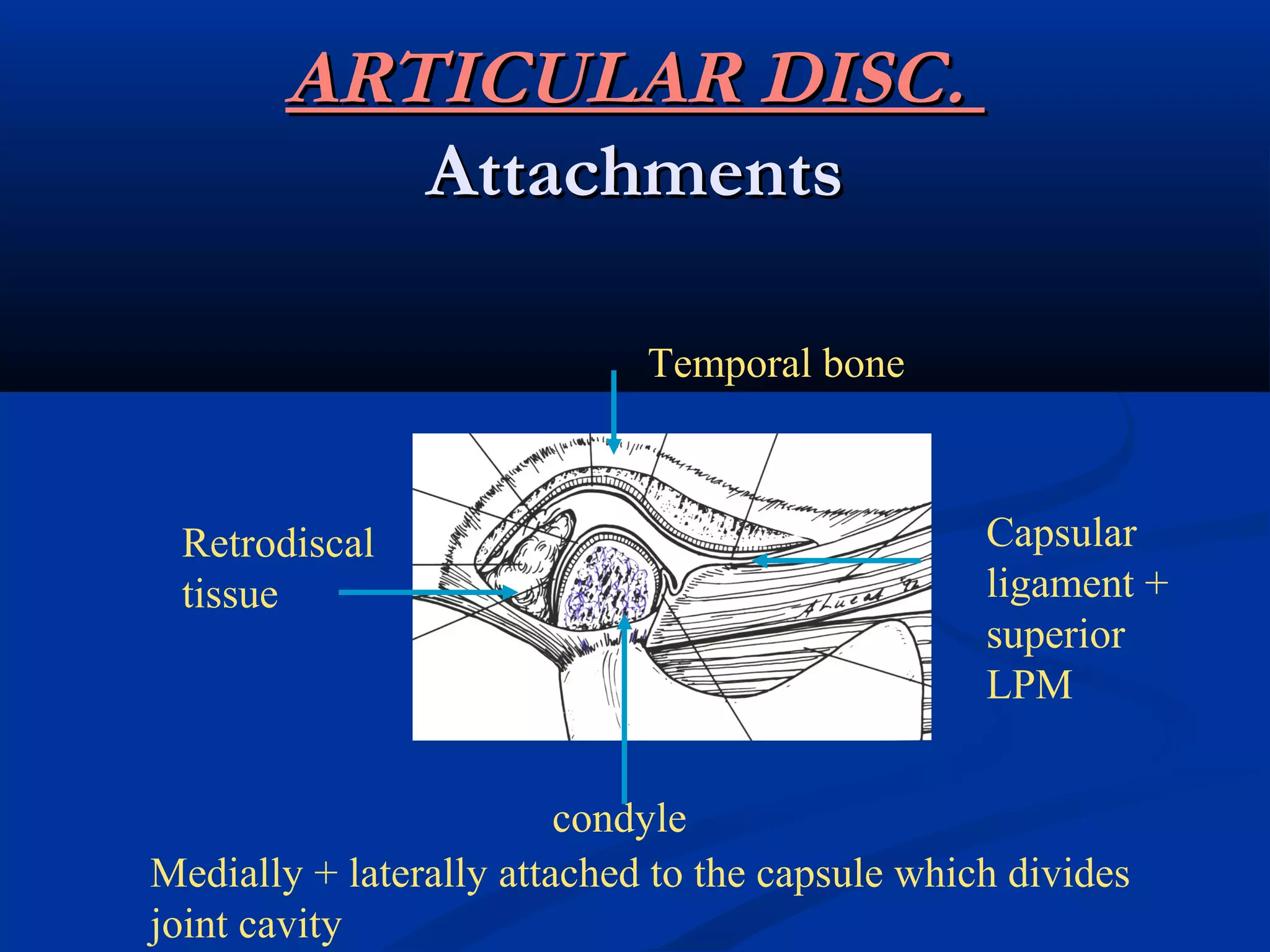 temporomandibular joint-development and anatomy | PPT