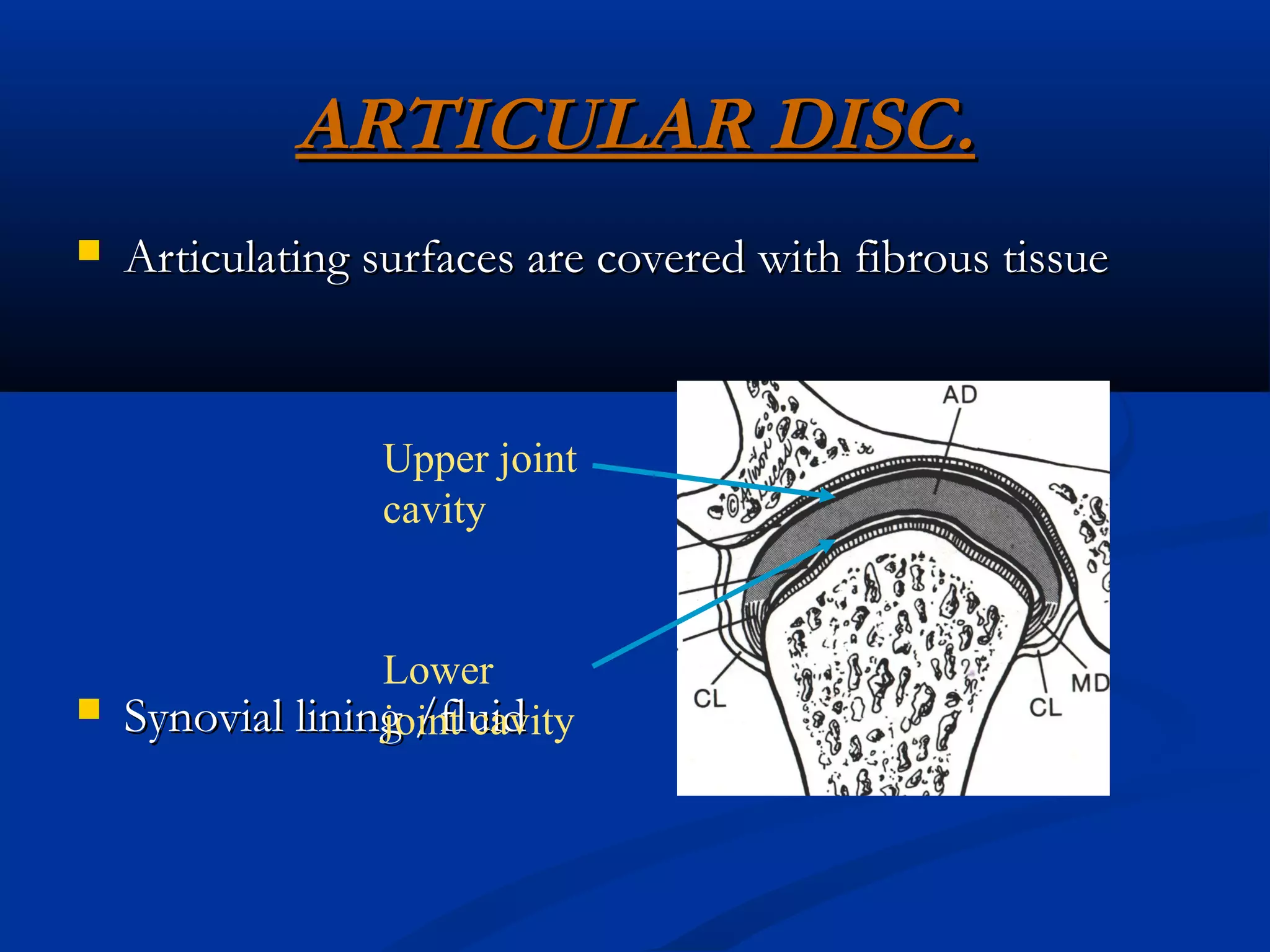 temporomandibular joint-development and anatomy | PPT