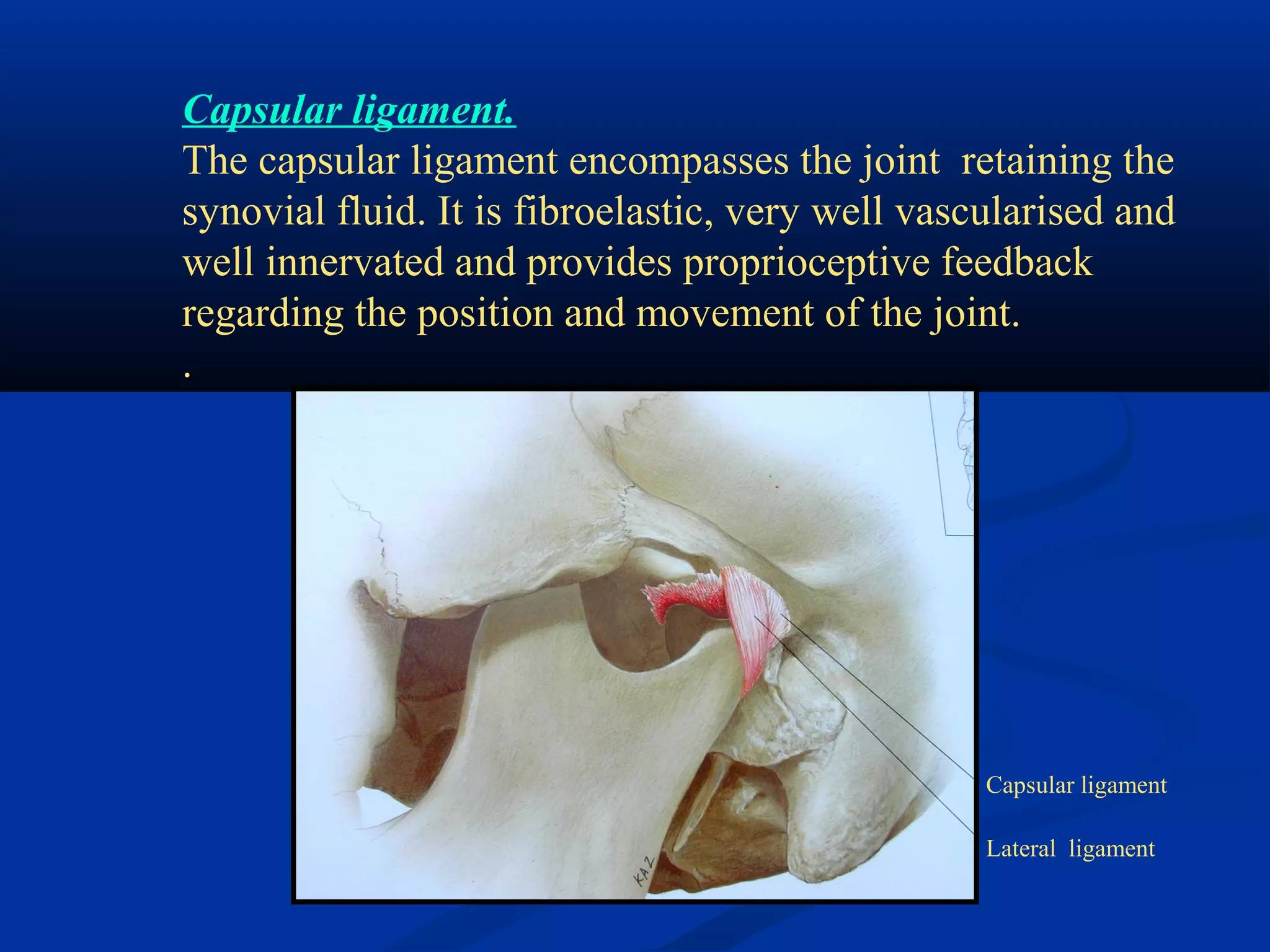 temporomandibular joint-development and anatomy | PPT