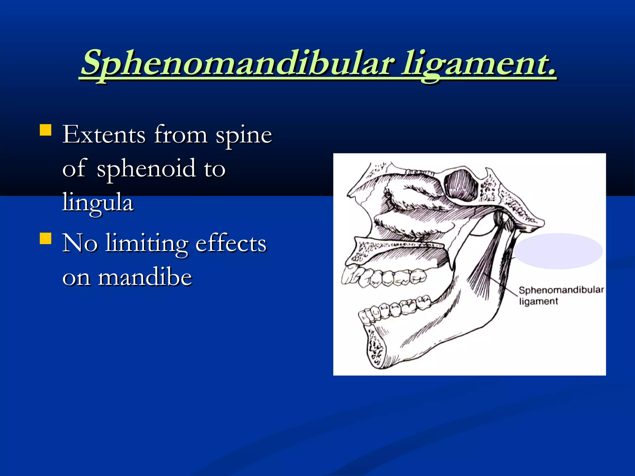 temporomandibular joint-development and anatomy | PPT
