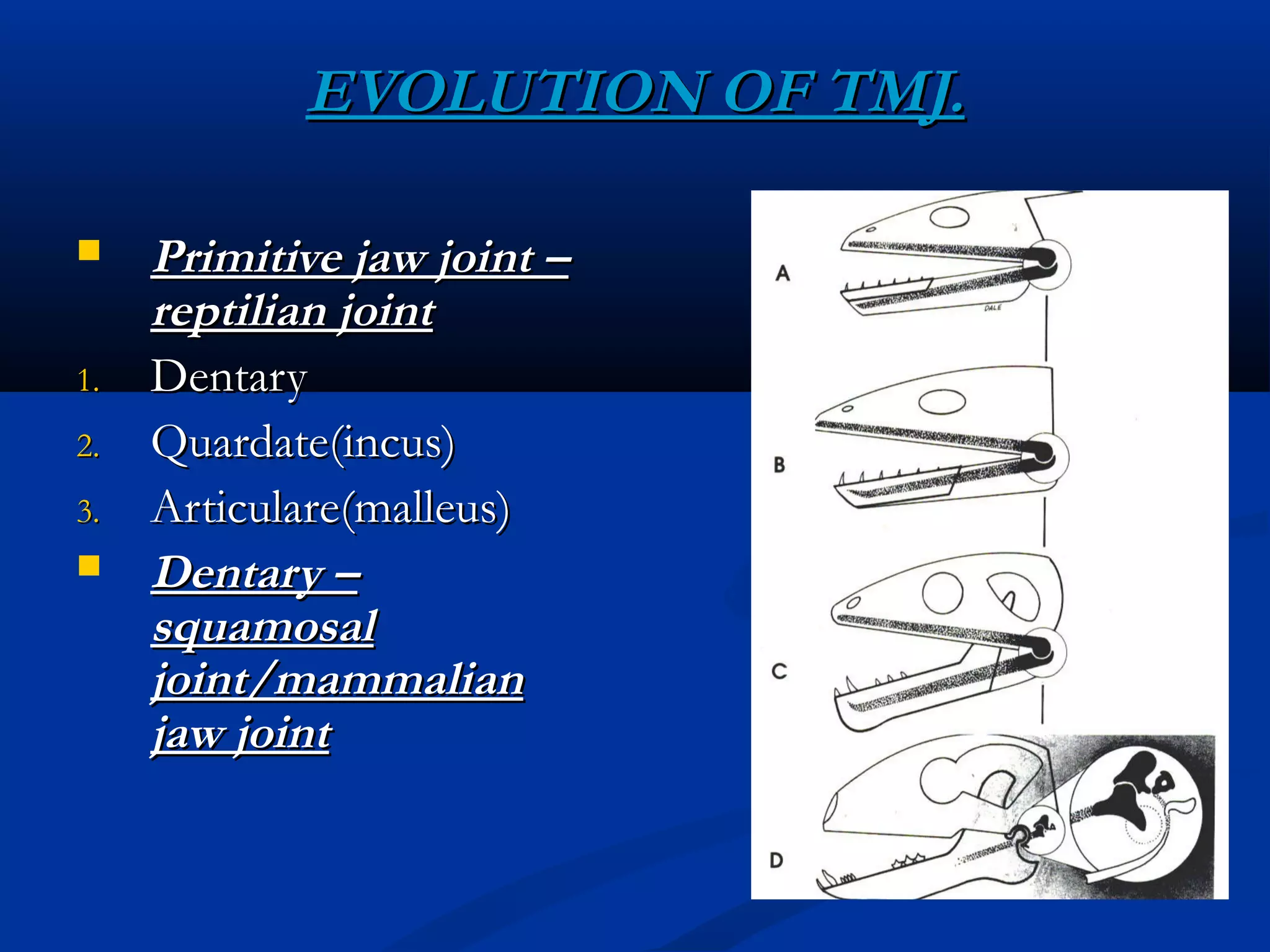 temporomandibular joint-development and anatomy | PPT