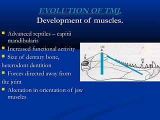 temporomandibular joint-development and anatomy | PPT