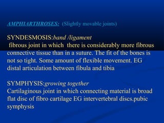 temporomandibular joint-development and anatomy | PPT