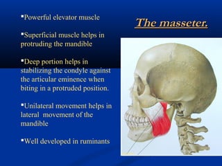 temporomandibular joint-development and anatomy | PPT