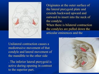Temporomandibular Joint Anatomy Ppt