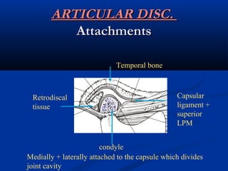 temporomandibular joint-development and anatomy | PPT