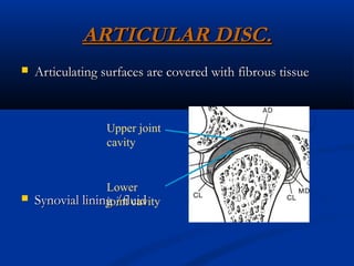 temporomandibular joint-development and anatomy | PPT