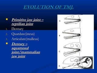 temporomandibular joint-development and anatomy | PPT