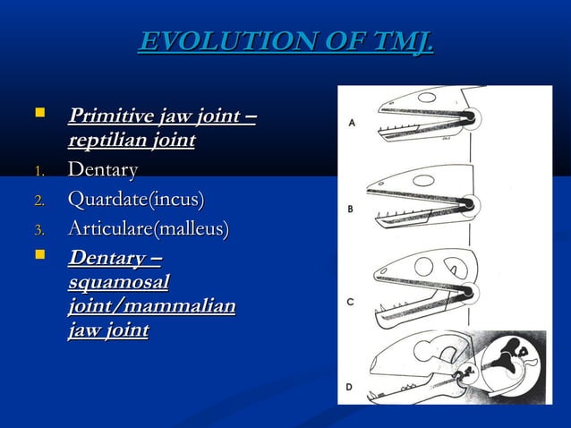 temporomandibular joint-development and anatomy | PPT | Death, Injury ...