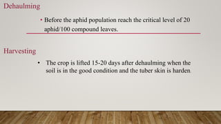 Seed plot technique.pptx | Agriculture | Industries