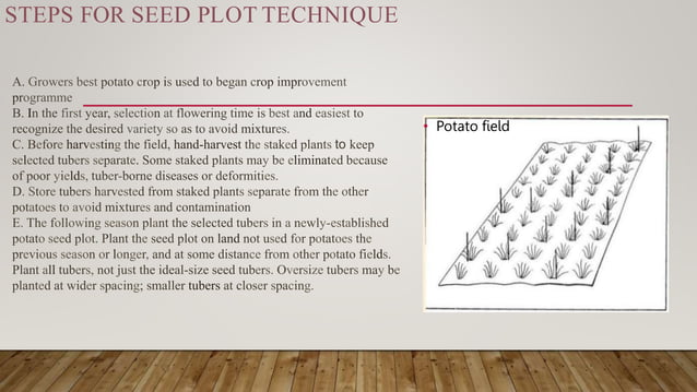 Seed plot technique.pptx | Agriculture | Industries