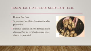 Seed plot technique.pptx | Agriculture | Industries