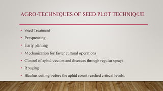 Seed plot technique.pptx | Agriculture | Industries