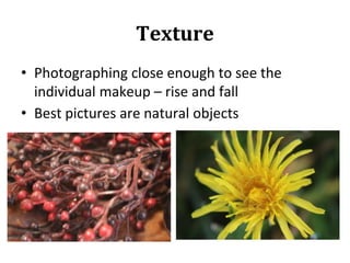 04 color texture | PPTX