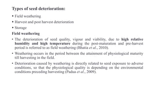 Seed Deterioration and Longevity.pptx