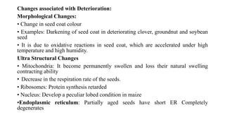 Seed Deterioration and Longevity.pptx