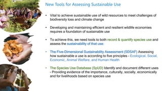 Tools for assessing the value and sustainability of species use | PPTX