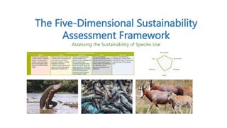 Tools for assessing the value and sustainability of species use | PPTX