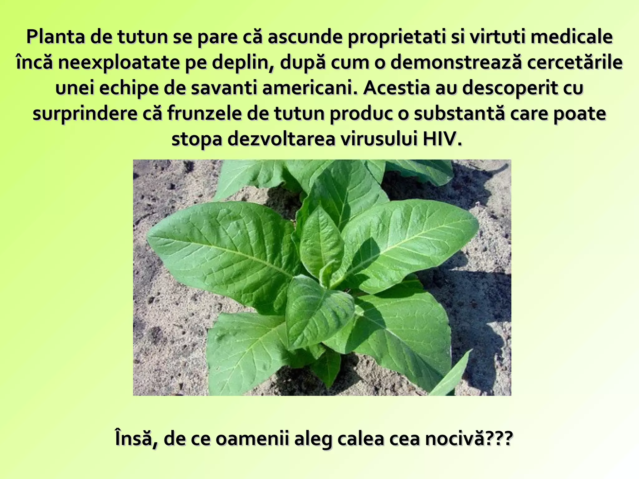 Spune nu tutunului! | PPT