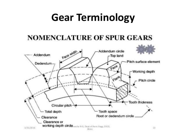 Spur gear and design of spur gear
