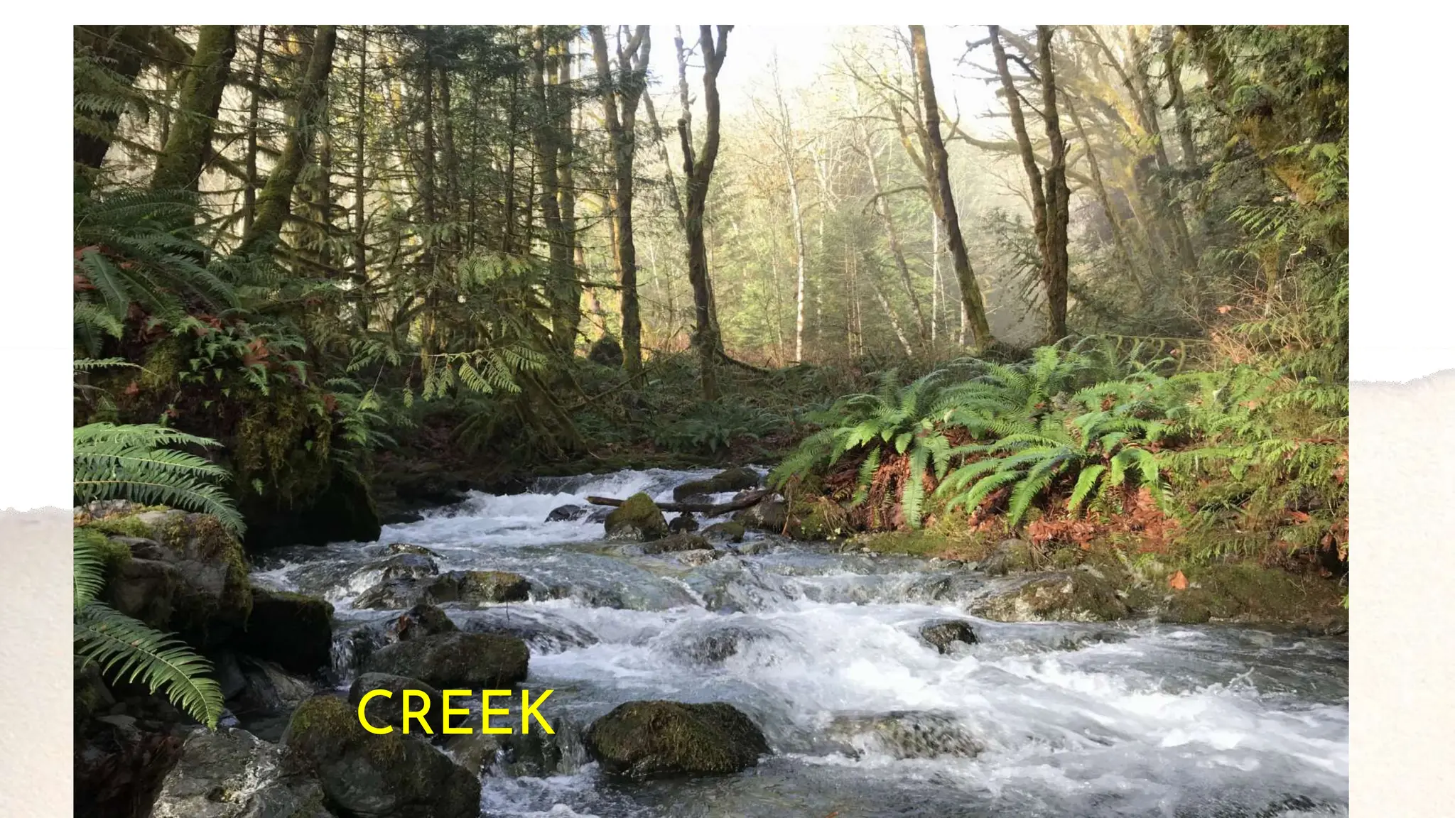 The Three Sources of Water Science 5.pptx