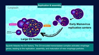 sputnik life cycle.pptx