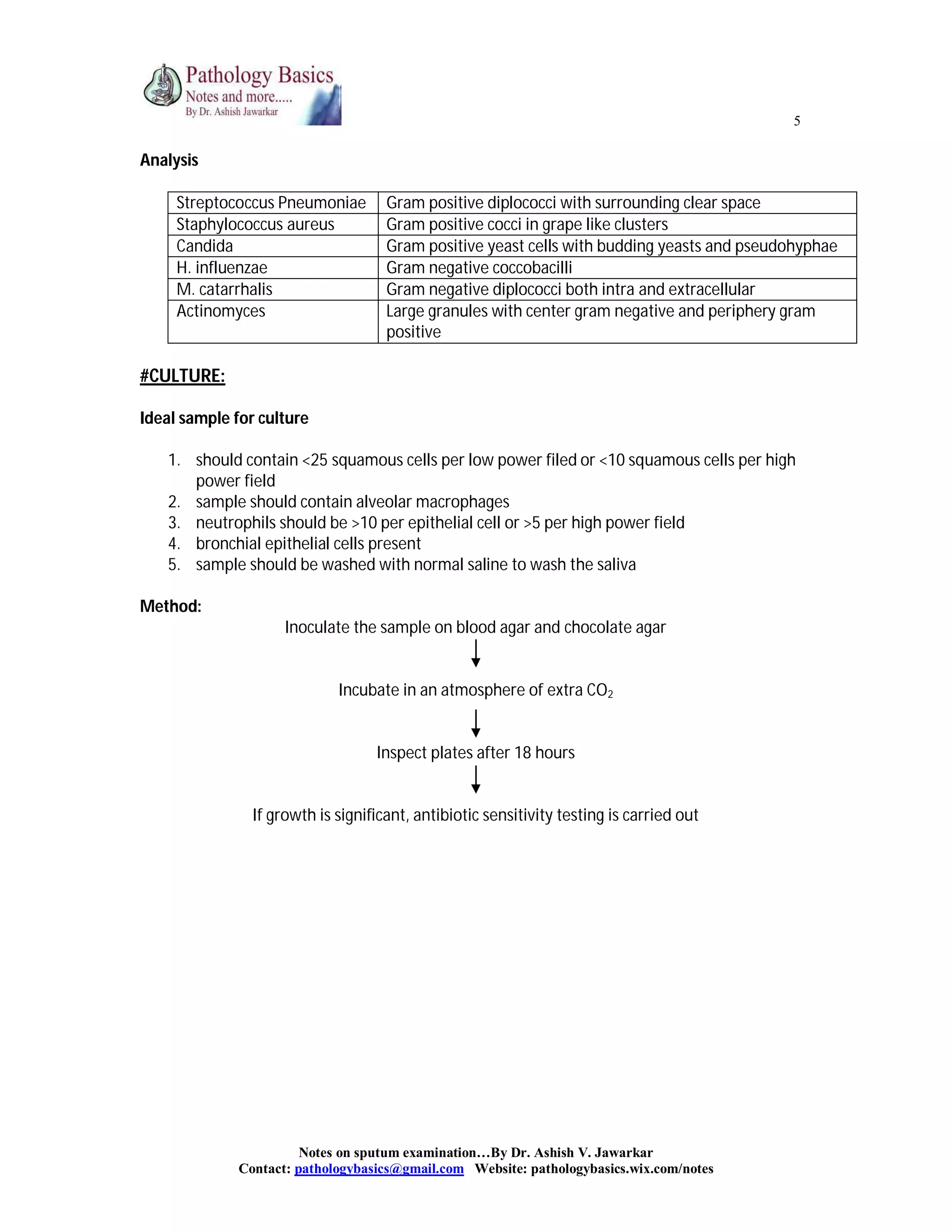 Sputum examination | PDF