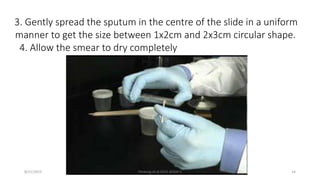 Sputum Examination and Analysis | PPTX