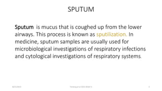 Sputum Examination and Analysis | PPTX
