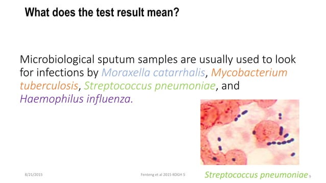 Sputum Examination and Analysis | PPTX | Lung and Respiratory Health ...