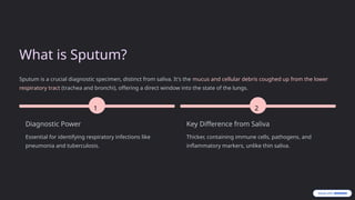 Sputum-Examination physical chemical and microscopic | PPTX