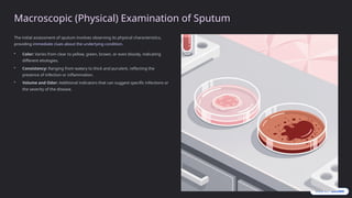 Sputum-Examination physical chemical and microscopic | PPTX