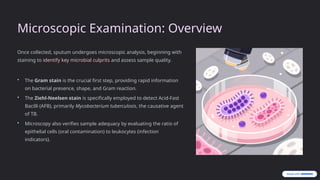 Sputum-Examination physical chemical and microscopic | PPTX