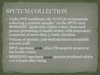 TB-Sputum AFB Test | PPTX