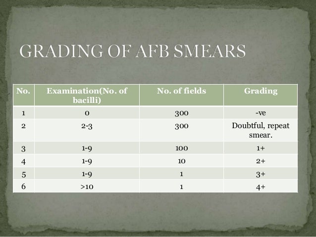 TB-Sputum AFB Test