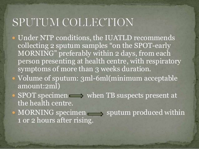TB-Sputum AFB Test