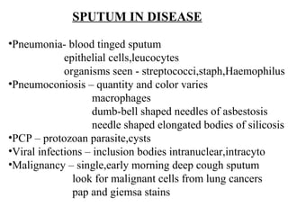 Sputum and body fluids, csf for bpmt | PPT