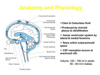 Sputum and body fluids, csf for bpmt | PPT