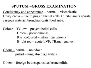 Different Colors Of Sputum