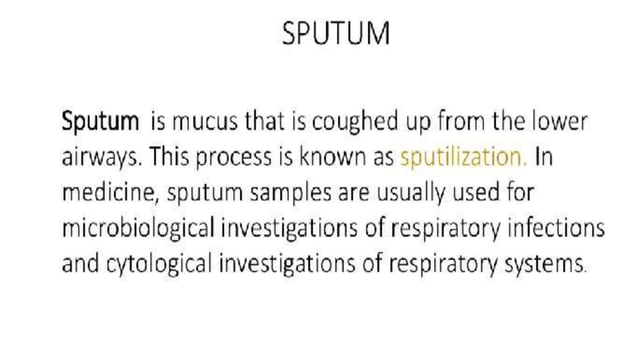 Sputum, chest x rays & spirometry | PPTX | Lung and Respiratory Health ...
