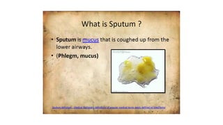 Sputum examination | PDF