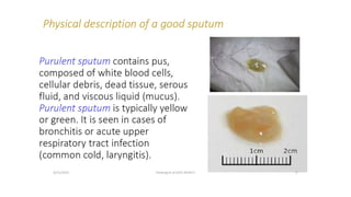 Sputum examination | PDF