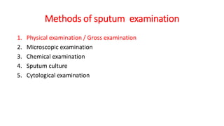 Sputum examination | PDF