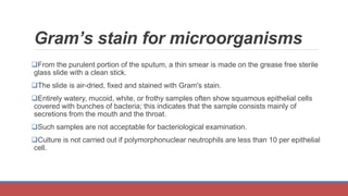 SPUTUM EXAMINATION.pptx