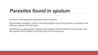 SPUTUM EXAMINATION.pptx