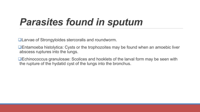 SPUTUM EXAMINATION.pptx